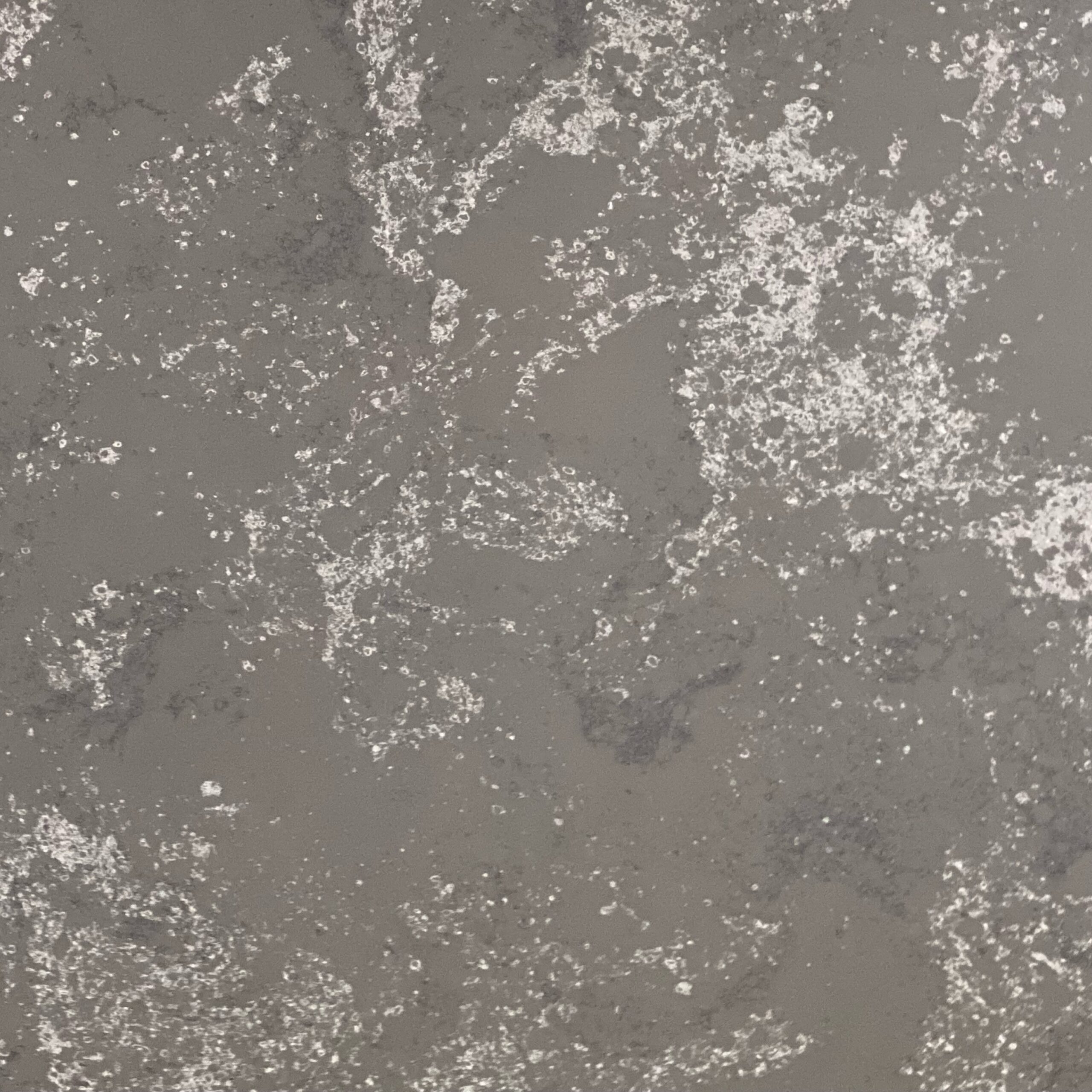 Discount Nexus Grey Quartz Countertops